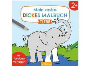 9783845839592 - Mein erstes dickes Malbuch ab 2 - Tiere Kartoniert (TB)