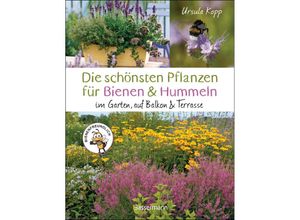Image of Die schönsten Pflanzen für Bienen und Hummeln u.v.a. nützliche Insekten. Für Garten, Balkon & Terrasse - Ursula Kopp, Gebunden