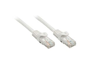 4002888481625 - Unbekannt - lindy 48162 RJ45 Netzwerkkabel Patchkabel cat 6 u utp 100 m Grau 1 St