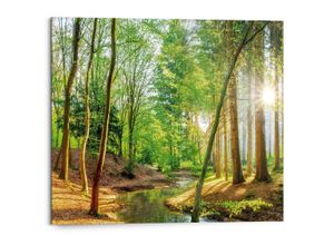 8714597625882 - Deco-Panel REINDERS Sonniger Wald Bilder Gr B H T 50 cm x 40 cm x 2 cm grün Kunstdrucke