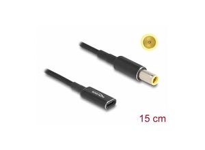 4043619600410 - Adapterkabel für Notebook Ladekabel usb Type-C™ Buchse zu ibm 79 x 55 m (60041) - Delock