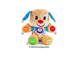 0887961612103 - Fisher-Price Lernspaß Hündchen Baby-Spielzeug mit Musik Kuscheltier Lernspielzeug blau