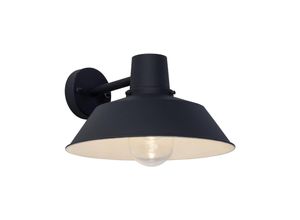 4004353256202 - BRILLIANT Lampe Humphrey Außenwandleuchte hängend anthrazit 1x A60 E27 60W geeignet für Normallampen (nicht enthalten) IP-Schutzart 44 - spritzwassergeschützt