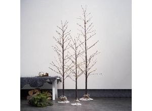 7391482044563 - 860-86 Weihnachtsdekoration baum tobby tree led 248X0066W Stahl Kunststoff braun H180cm Ø80cm IP44 - Star Trading