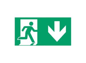 4251138209483 - Schild Notausgang Typ A für C-LUX Standard