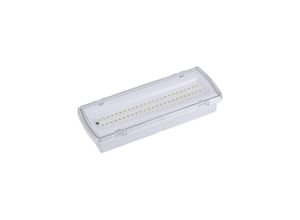 4038104158262 - LED-Fluchtwegleuchte Wasen Ein- Aufbau IP65 4000K