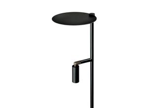 8435579827321 - LED-Stehleuchte Kelly Spot justierbar black nickel