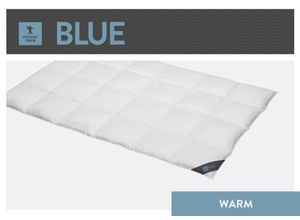 4033829470262 - Daunenbettdecke SPESSARTTRAUM Blue Bettdecken Gr B L 200 cm x 220 cm warm weiß Sommerbettdecke hergestellt in Deutschland allergikerfreundlich