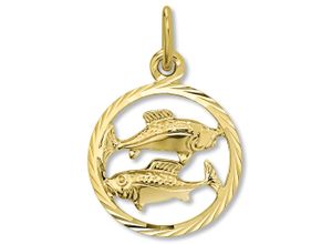 9145546194750 - Sternzeichen-Anhänger Fische Sternzeichen Anhänger aus 333 Gelbgold Schmuckanhänger Gr Fische Gelbgold 333 goldfarben (gold) Damen Anhänger Gold Schmuck Fische