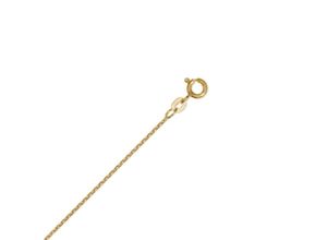 Image of Goldkette ONE ELEMENT "Halskette aus 333 Gelbgold Ø 1,20 mm" Halsketten Gr. 36, Gelbgold 333, goldfarben (gold) Damen Goldketten Gold Schmuck Rundankerkette