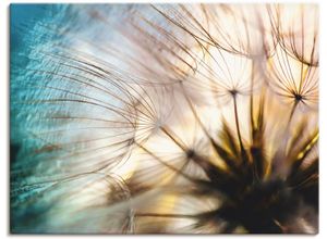 4059745195331 - Wandbild ARTLAND Pusteblume Makro abstrakt Bilder Gr B H 40 cm x 30 cm Leinwandbild Blumen 1 St beige (naturfarben) Bild Kunstdruck Kunstdrucke Bilder als Alubild Leinwandbild Wandaufkleber oder Poster in versch Größen