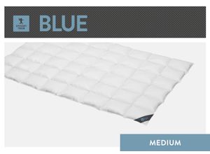 4033829470125 - Daunenbettdecke SPESSARTTRAUM Blue Bettdecken Gr B L 155 cm x 220 cm leicht weiß Sommerbettdecke hergestellt in Deutschland allergikerfreundlich