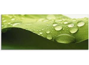 4055327045469 - Glasbild ARTLAND Blatt Bilder Gr B H 125 cm x 50 cm Glasbild Zen 1 St grün Glasbilder in verschiedenen Größen