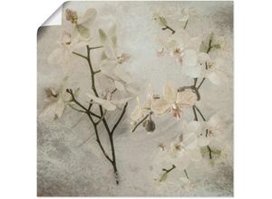 4055327647021 - Wandbild ARTLAND Orchideen Bilder Gr B H 40 cm x 40 cm Poster Blumen 1 St weiß Bild Kunstdruck Kunstdrucke Bilder als Leinwandbild Wandaufkleber oder Poster in versch Größen