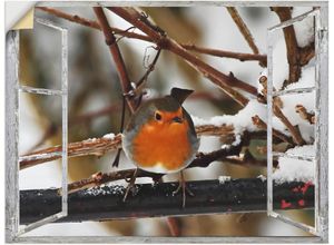 4057738830504 - Wandbild ARTLAND Fensterbild - Rotkehlchen Bilder Gr B H 40 cm x 30 cm Wandaufkleber - Vinyl Vögel 1 St rot Bild Kunstdruck Poster Bilder als Alubild Leinwandbild Wandaufkleber oder in versch Größen