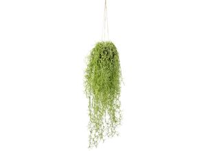4019844761561 - Kunstpflanze IGEA Mooshänger Kunstpflanzen Gr B H L 23 cm x 70 cm x 23 cm 1 St grün (hellgrün) Künstliche Zimmerpflanzen Mit Hängeampel