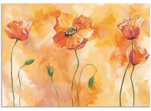 4057738425649 - Wandbild ARTLAND Mohnkomposition Bilder Gr B H 70 cm x 50 cm Alu-Dibond-Druck Blumen 1 St braun Bild Leinwandbild Kunstdrucke Bilder als Alubild Leinwandbild Wandaufkleber oder Poster in versch Größen