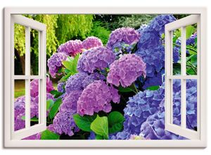 4057738334170 - Wandbild ARTLAND Fensterblick Hortensien im Garten Bilder Gr B H 70 cm x 50 cm Leinwandbild Blumen Querformat 1 St lila Bild Leinwandbild Kunstdrucke Bilder als Alubild Leinwandbild Wandaufkleber oder Poster in versch Größen