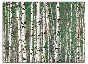 4059745908719 - Wandbild ARTLAND Birkenwald - Bäume Bilder Gr B H 80 cm x 60 cm Leinwandbild Bäume Querformat 1 St weiß Bild Poster Bilder als Alubild Leinwandbild Wandaufkleber oder in versch Größen 4059745908719 - Wandbild ARTLAND Birkenwald - Bäume Bilder Gr B H 80 cm x 60 cm Leinwandbild Bäume Querformat 1 St weiß Bild Poster Bilder als Alubild Leinwandbild Wandaufkleber oder in versch Größen