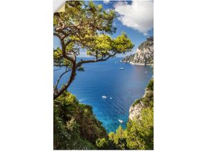 4062144661680 - Wandbild ARTLAND Punta de Masullo Insel Capri Italien Bilder Gr B H 40 cm x 60 cm Wandaufkleber - Vinyl Meer Bilder Hochformat 1 St blau Kunstdrucke als Alubild Leinwandbild Wandaufkleber oder Poster in versch Größen