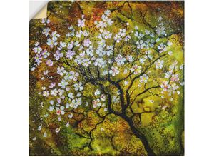 4062144625521 - Wandbild ARTLAND Kirschblüte Bilder Gr B H 100 cm x 100 cm Wandaufkleber - Vinyl Baumbilder quadratisch 1 St grün Kunstdrucke als Alubild Leinwandbild Wandaufkleber oder Poster in versch Größen 4062144625521 - Wandbild ARTLAND Kirschblüte Bilder Gr B H 100 cm x 100 cm Wandaufkleber - Vinyl Baumbilder quadratisch 1 St grün Kunstdrucke als Alubild Leinwandbild Wandaufkleber oder Poster in versch Größen