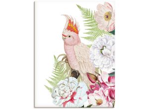 4062144648520 - Wandbild ARTLAND Vintage Papagei II Bilder Gr B H 45 cm x 60 cm Leinwandbild Vogelbilder Hochformat 1 St weiß Kunstdrucke als Alubild Leinwandbild Wandaufkleber oder Poster in versch Größen 4062144648520 - Wandbild ARTLAND Vintage Papagei II Bilder Gr B H 45 cm x 60 cm Leinwandbild Vogelbilder Hochformat 1 St weiß Kunstdrucke als Alubild Leinwandbild Wandaufkleber oder Poster in versch Größen