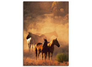 4062144535417 - Wandbild ARTLAND Friedliche Versammlung - Pferde Bilder Gr B H 50 cm x 70 cm Leinwandbild Haustiere Hochformat 1 St braun Bild Poster Bilder als Alubild Leinwandbild Wandaufkleber oder in versch Größen
