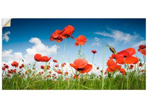4057738294955 - Wandbild ARTLAND Feld mit Mohnblumen unter Himmel Bilder Gr B H 100 cm x 50 cm Wandaufkleber - Vinyl Blumenwiese Querformat 1 St bunt Bild Metallbild Metallbilder Bilder als Alubild Leinwandbild Wandaufkleber oder Poster in versch Größen