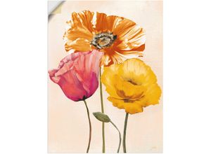 4057738232360 - Wandbild ARTLAND Bunte Mohnblumen II Bilder Gr B H 30 cm x 40 cm Wandaufkleber - Vinyl Blumenbilder Hochformat 1 St bunt Kunstdrucke als Alubild Leinwandbild Wandaufkleber oder Poster in versch Größen