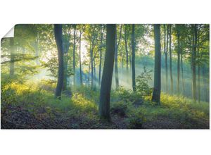 4062144639139 - Wandbild ARTLAND Wald Panorama Bilder Gr B H 60 cm x 30 cm Poster Waldbilder Querformat 1 St grün Kunstdrucke als Alubild Leinwandbild Wandaufkleber oder Poster in versch Größen