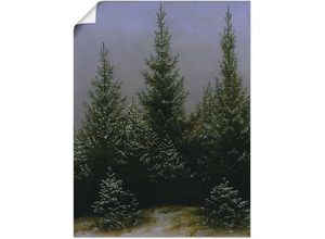 4058661178916 - Wandbild ARTLAND Fichtendickicht im Schnee Dresdner Heide Bilder Gr B H 30 cm x 40 cm Poster Bäume 1 St grün Bild Poster Bilder als Alubild Leinwandbild Wandaufkleber oder in versch Größen