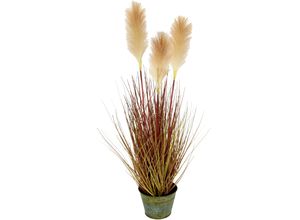 4019844761189 - Kunstpflanze IGEA Pampasgras Kunstpflanzen Gr B H L 24 cm x 75 cm x 24 cm 1 St beige (natur) Künstliche Zimmerpflanzen Im Metalltopf