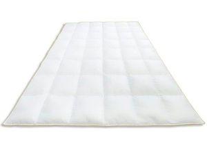 4041134042418 - Daunenbettdecke FRAU HOLLE Ava Bettdecken für Sommer oder Winter hergestellt in Deutschland Gr B L 155 cm x 220 cm normal weiß Allergiker Bettdecke