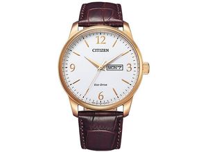 Image of Solaruhr CITIZEN "BM8553-16AE" Armbanduhren braun Herren Solaruhren Armbanduhr, Herrenuhr