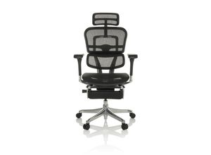 4064323035770 - Luxus Chefsessel ERGOHUMAN PLUS LEGPRO GEN2 Netzstoff mit Armlehnen (höhenverstellbar) hjh OFFICE