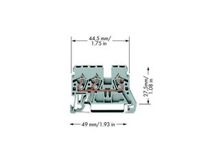 4045454094553 - 870-681 Durchgangsklemme 5 mm Zugfeder Belegung L Grau 100 St