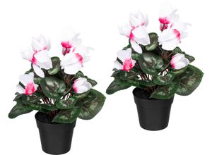 4064118070580 - Künstliche Zimmerpflanze CREATIV GREEN Alpenveilchen Kunstpflanzen Gr H 30 cm 2 St pink (weiß pink) Künstliche Zimmerpflanzen Kunstpflanzen 2er Set