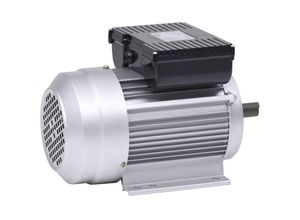 8720286144534 - Bonnevie - Einphasen-Elektromotor Aluminium 22 kW 3 ps 2-polig 2800 U min vidaXL555667