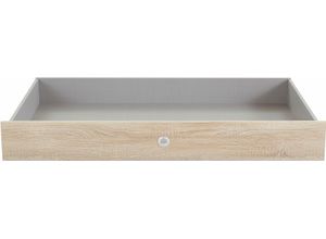 4038062069068 - Schubkasten WIMEX Easy braun (struktureichefarben hell) B137cm H19cm T58cm Holzwerkstoff Schubladen auf Rollen praktische Ergänzung für Wimex Betten Easy