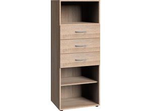 4038061009119 - Regal WIMEX Multiraumkonzept Regale Gr B H T 50 cm x 126 cm x 40 cm braun (eiche sägerau nachbildung) Büroregal Büroregale und Aktenregale Breite 50 cm