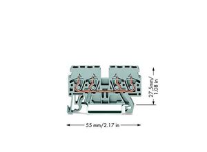 4045454094621 - 870-831 Durchgangsklemme 5 mm Zugfeder Belegung L Grau 100 St