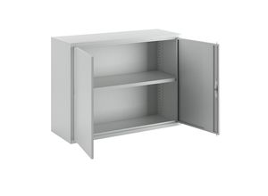 4055479002105 - Hängeschrank 2 Vollblechtüren Rückwand glatt 1 verstellbarer Boden Zylinderschloss BxTxH 800x300x600 mm ral 7035