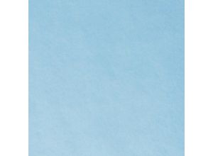 4251924708749 - Geschenk-Seidenpapier 30 g m² Bogenformat 750 x 500 mm wasserblau VE 880 Stk ab 10 VE