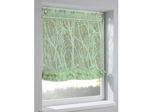 6972314566579 - Raffrollo HEINE HOME Raffrollos Gr 140 cm Für Hakenaufhängung 45 cm grün Raffrollos transparent