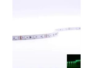 4260385828156 - Strip 12V LED Streifen 5M 48W m 60LED m 8mm - Lichtfarbe Grün - Schutzart IP2