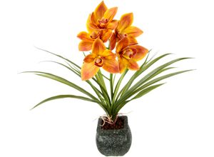 4019844799359 - Kunstblume MY HOME Orchidee Kunstpflanzen Gr B H L 35 cm x 40 cm x 25 cm 1 St orange Kunst-Blumen Mit Blätter im Topf aus Zement Künstliche Blume Cymbidium-Orchidee