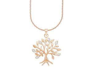 4056866027305 - Kette mit Anhänger AMOR Lebensbaum 2016687 Halsketten Gr Silber 925 (Sterlingsilber) Länge 60 cm rosegold (roségoldfarben weiß) Damen Ketten mit Anhänger Zirkonia (synth)