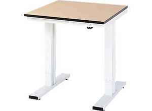 4040376066961 - Rau Werktisch Adlatus elektrisch höhenverstellbar 22 mm MDF-Platte bis 300 kg B 750 x T 800 x H 720-1120 mm braun lichtgrau