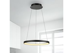 4012248384695 - Led Pendelleuchte Hoop in Schwarz 42W 2000lm - Paul Neuhaus