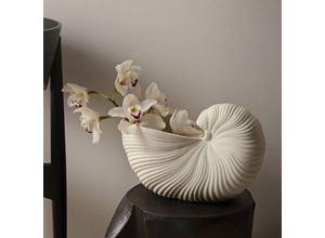 5704723030911 - - Shell Blumentopf - weiß BxHxT 31x20x15cm Mit lauwarmem Wasser abspülen